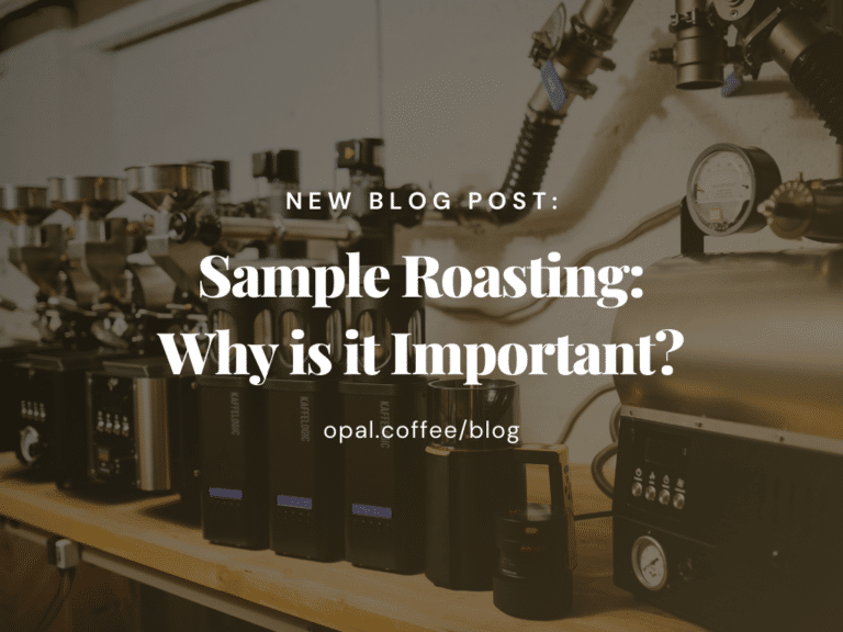 Sample Roasting: Why is it Important? — Opal Coffee